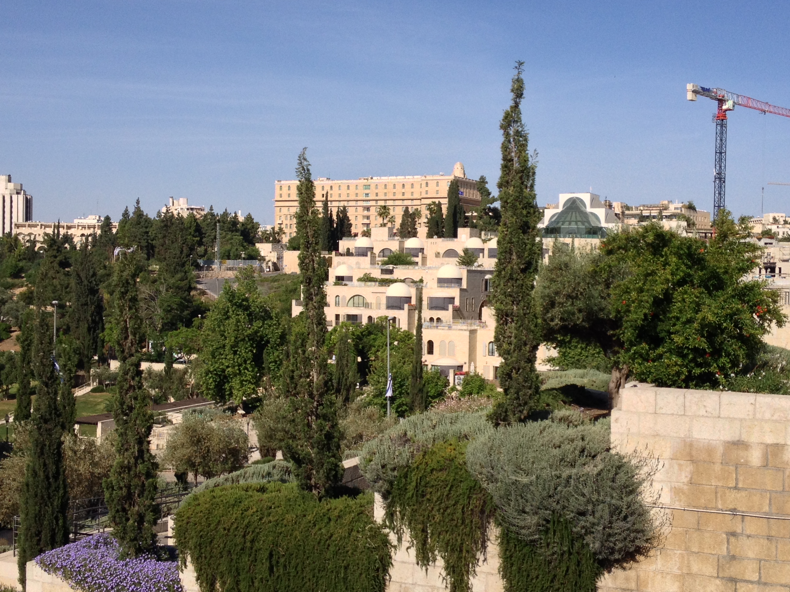 IMG_7222 – The Neshamah Center