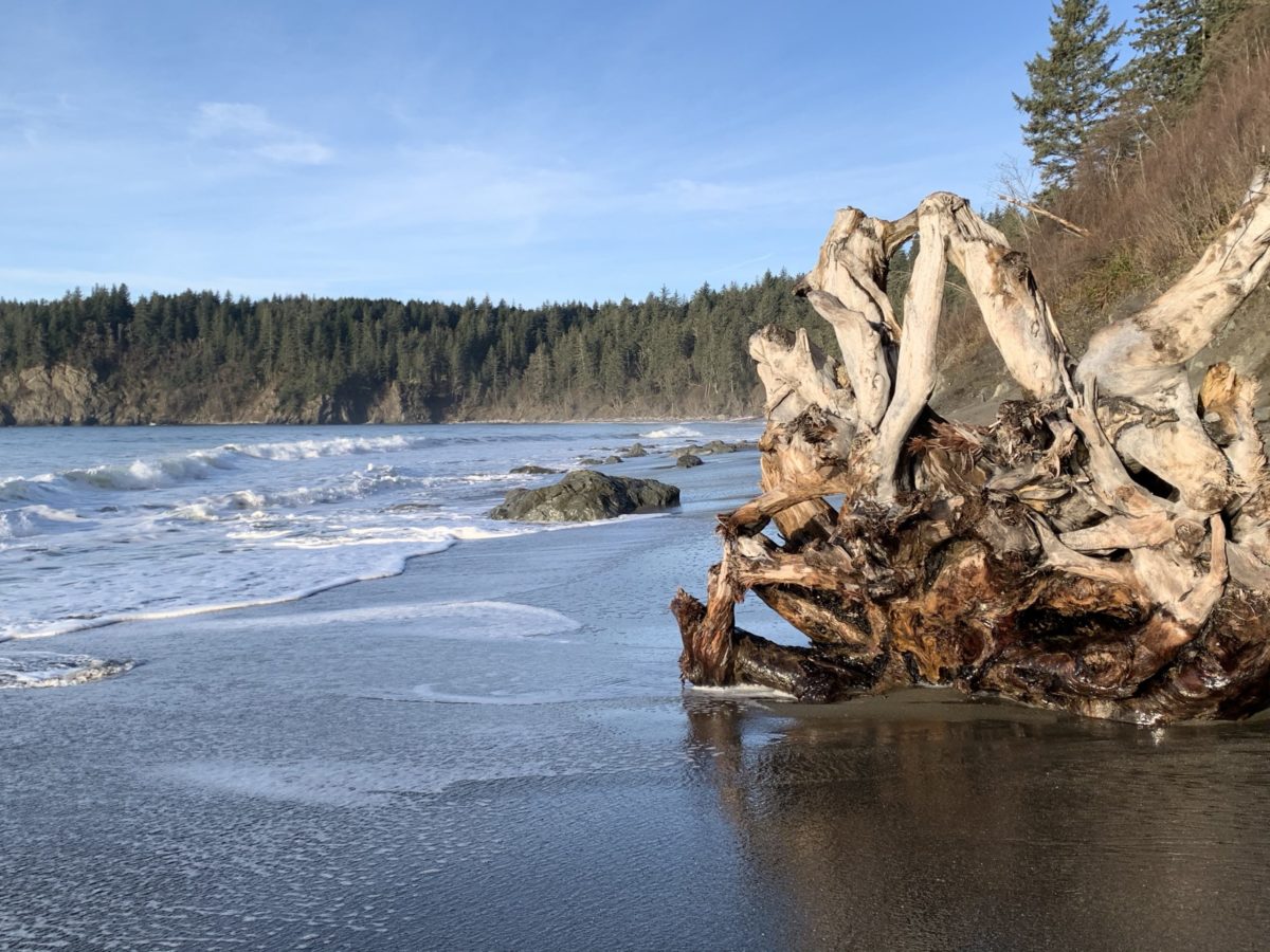 God and Nature - The Neshamah Center